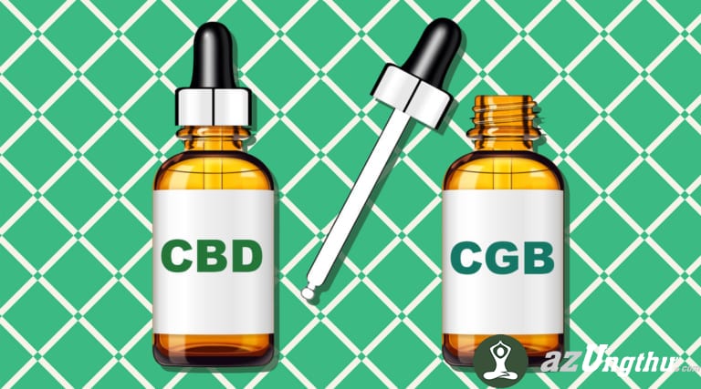 CBG là gì và nó khác với CBD như thế nào? – Thoát khỏi nỗi lo ung thư